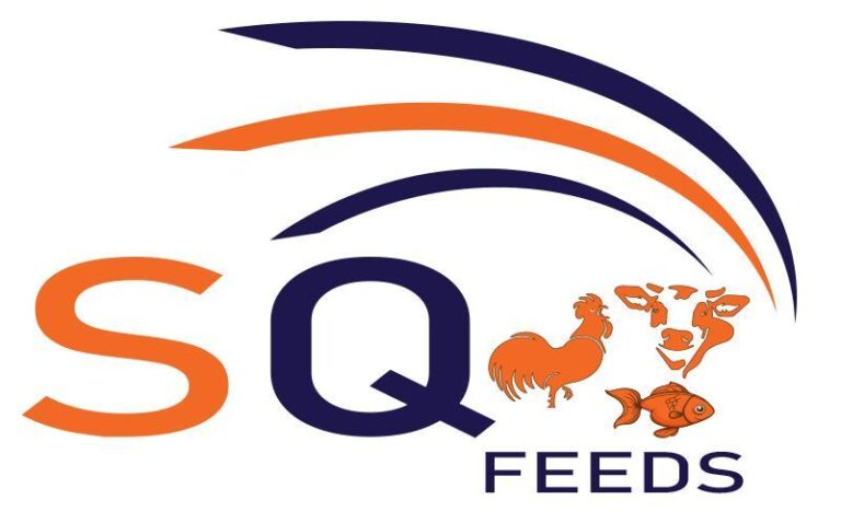 SQ Feeds – SQ Feeds Best Product in India